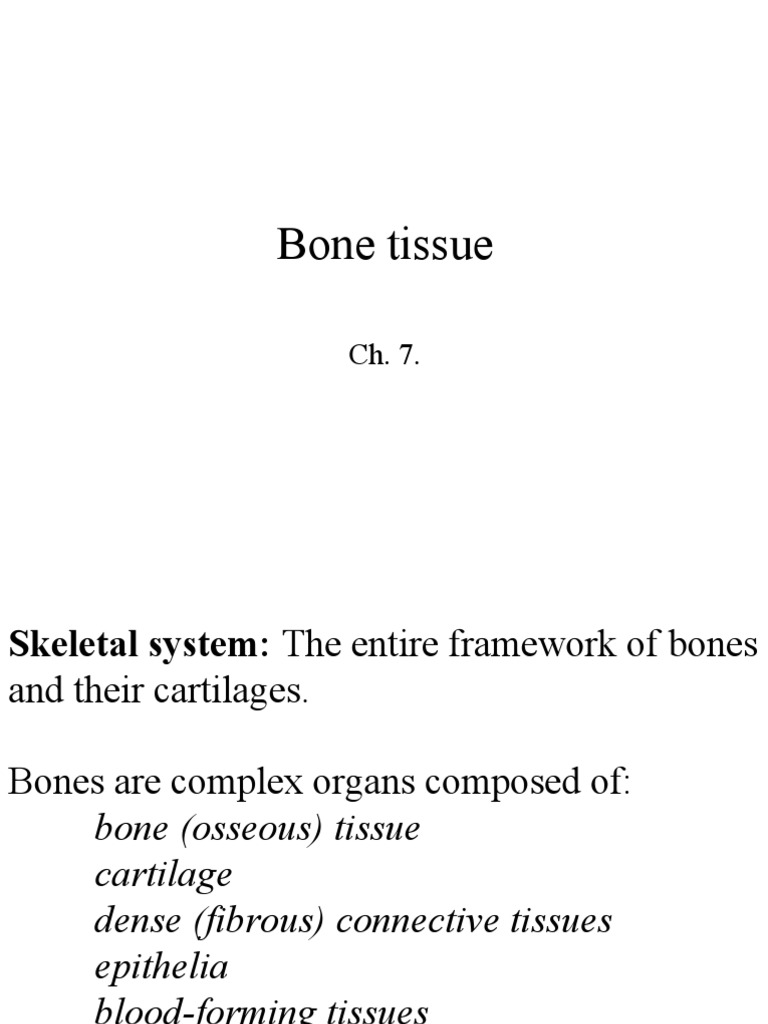 7 Bone+Tissue | Download Free PDF | Bone | Osteoblast