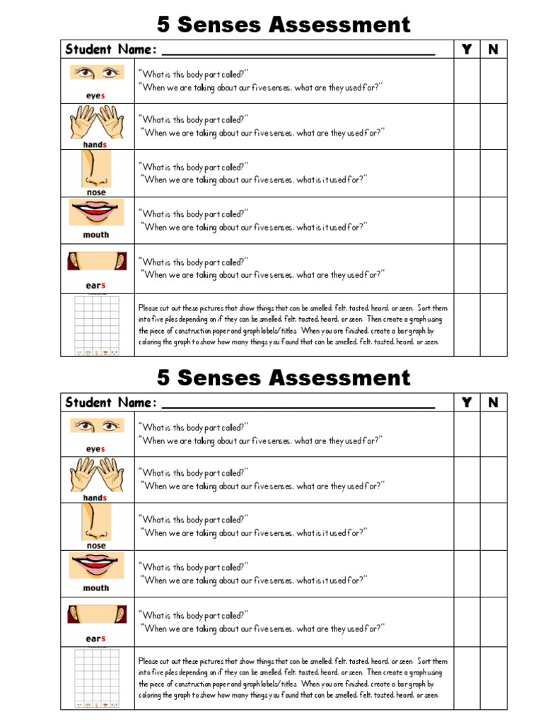 5 Senses Assessment for Kids | PDF | Senses | Cognition