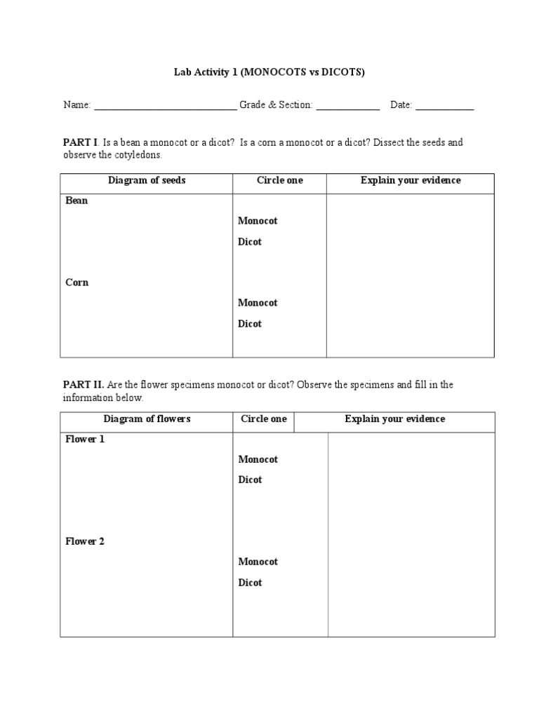 Monocots vs. Dicots Lab Activity | PDF
