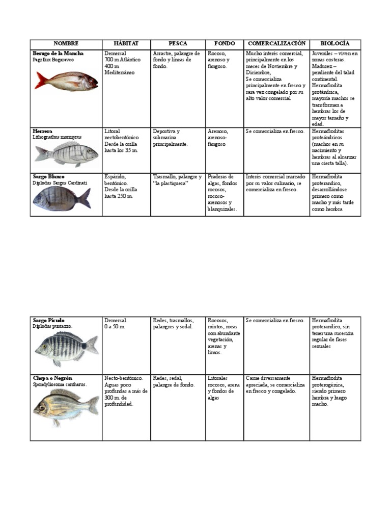 Especies Marinas Pelagico-Bentonico | PDF | Naturaleza