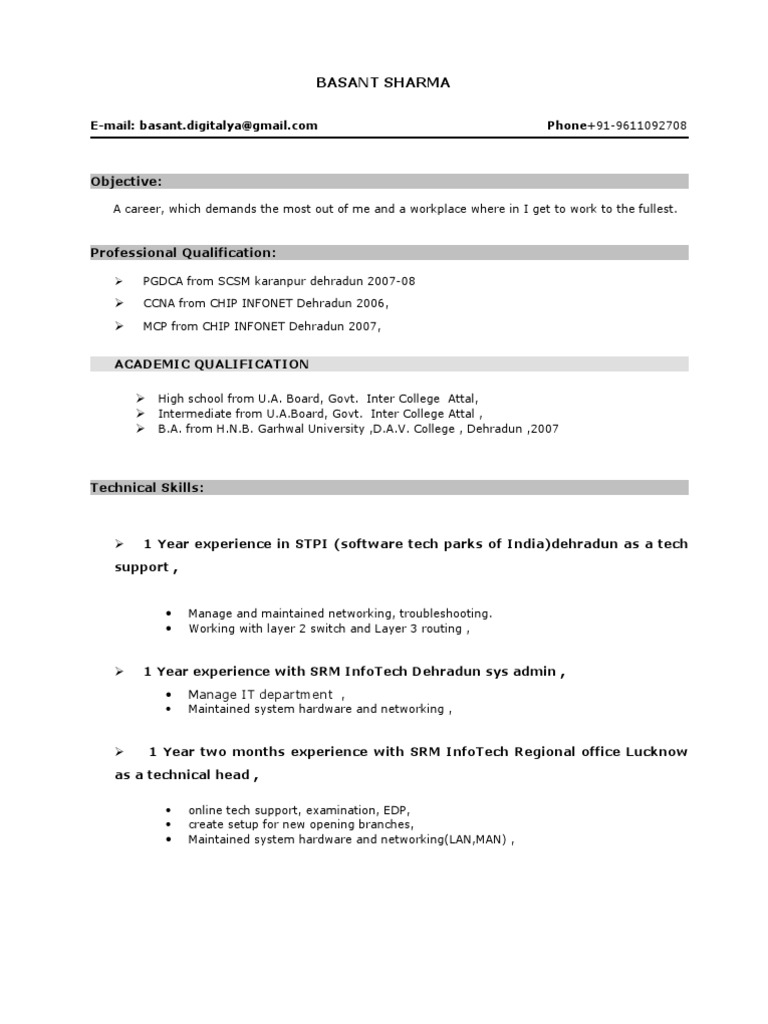 IT Professional Resume | PDF