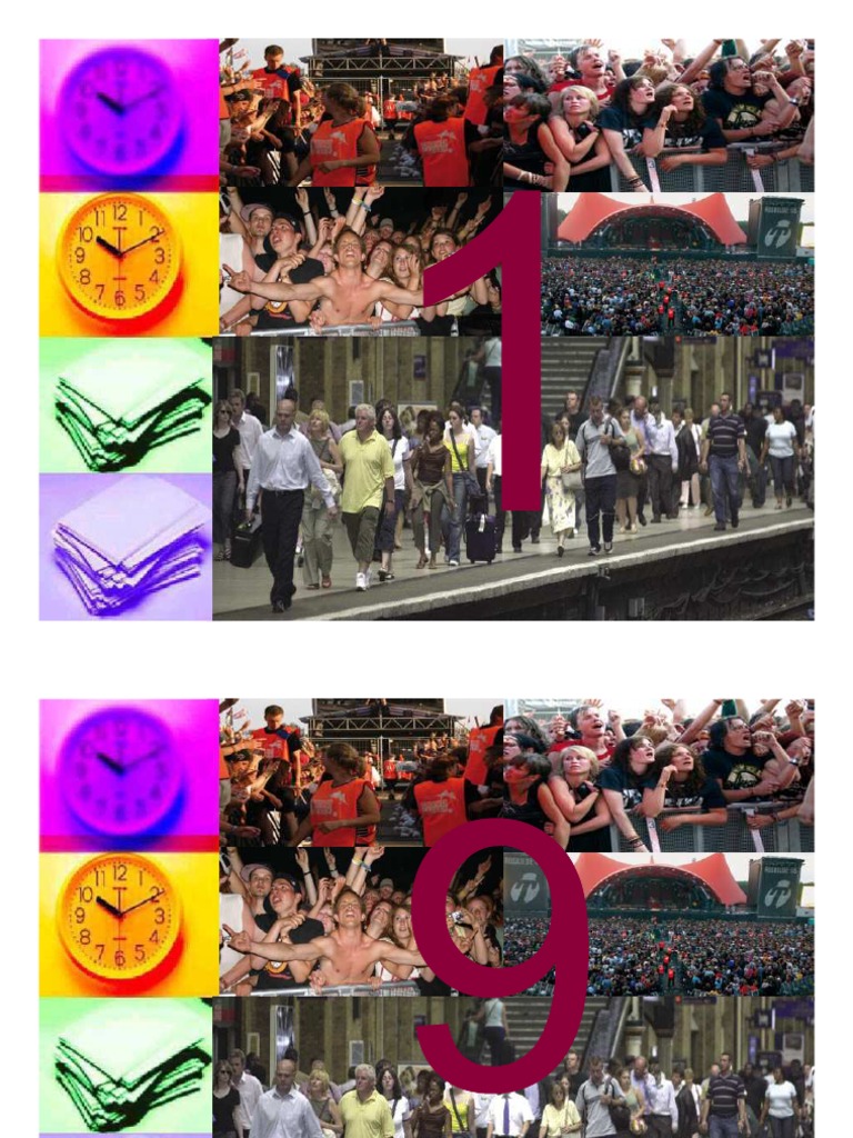 Crowd Management | PDF | Social Group | Anger