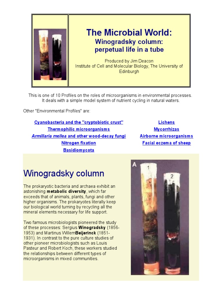 Winogradsky Column | PDF | Fermentation | Cyanobacteria