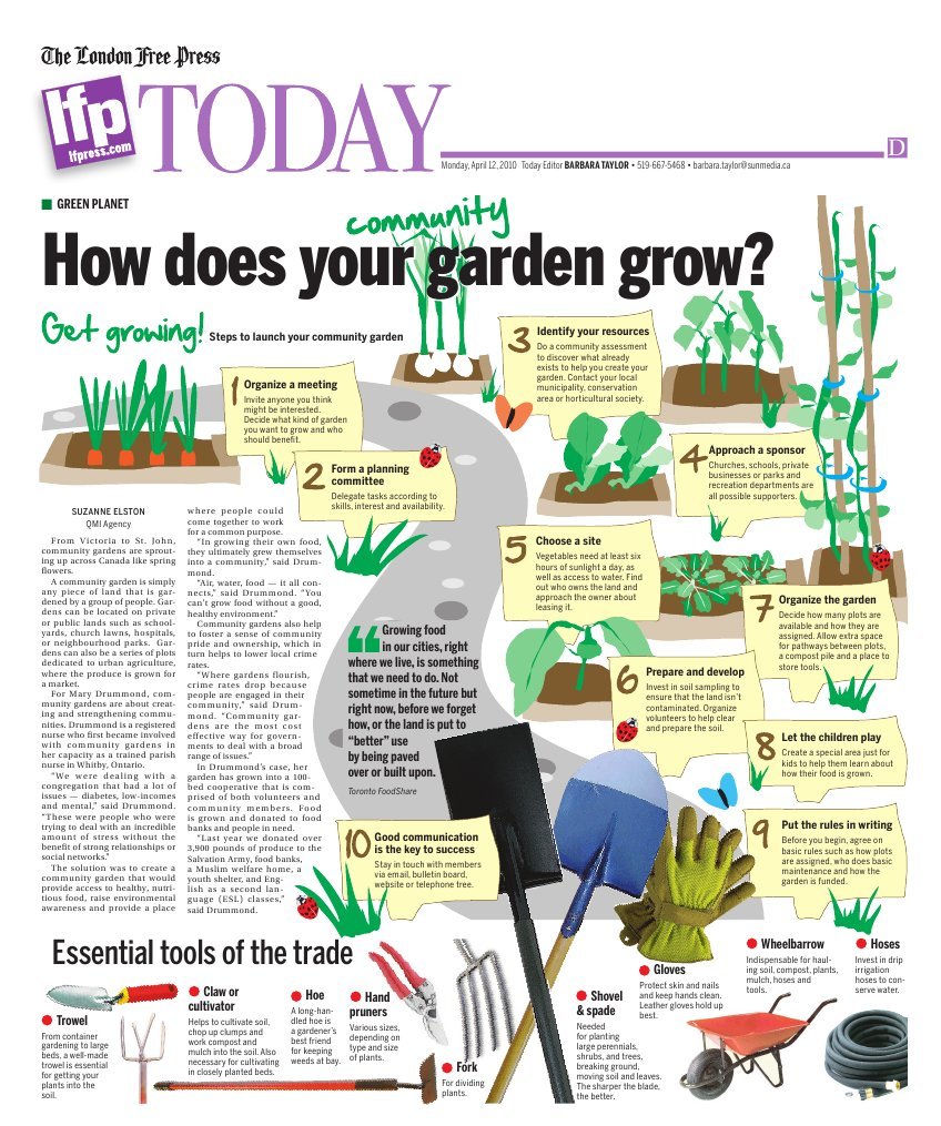 How Does Your Garden Grow | PDF | Gardens | Agriculture