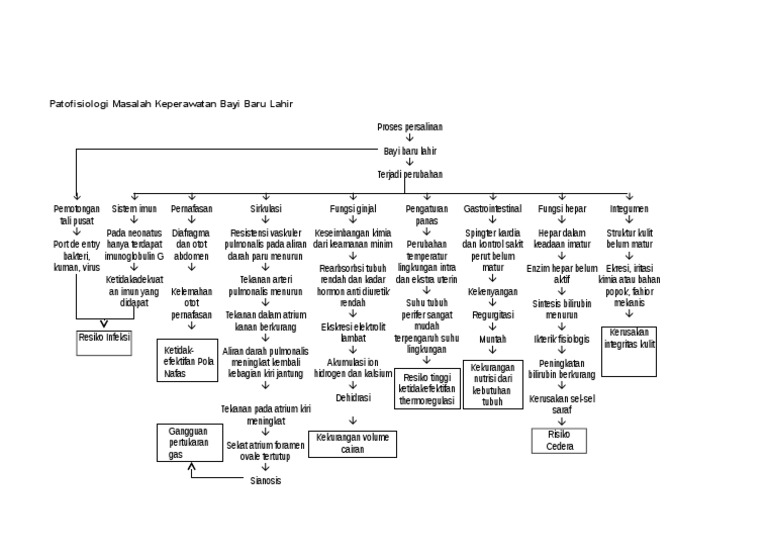 Pathway BBL | PDF | Kesehatan Holistik | Sains & Matematika