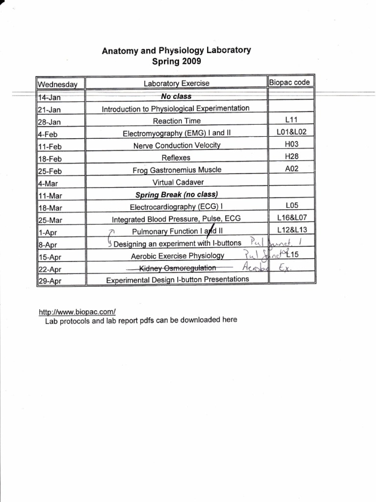 Anatomy & Physiology Lab Schedule 2009 | PDF