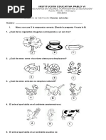 Evaluación Primer Grado BI Español | PDF | Artes del lenguaje y disciplina