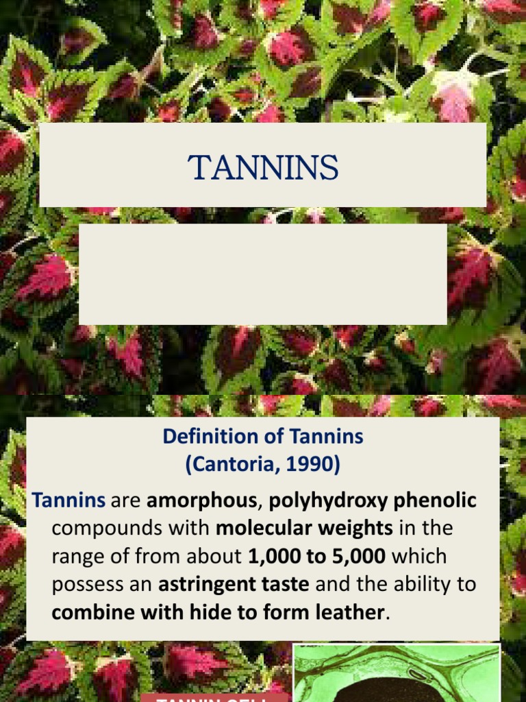 6. TANNINS | Chemical Substances | Chemical Compounds