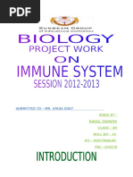 Bio Project On Immunity Class 12 | PDF | Immune System | Adaptive ...