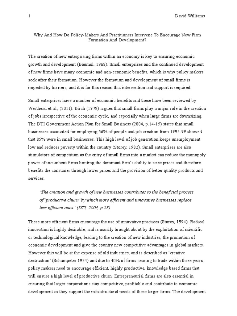 Entrepreneurship Essay | PDF | Entrepreneurship | Employment