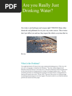 Water Pollution Case Study | PDF