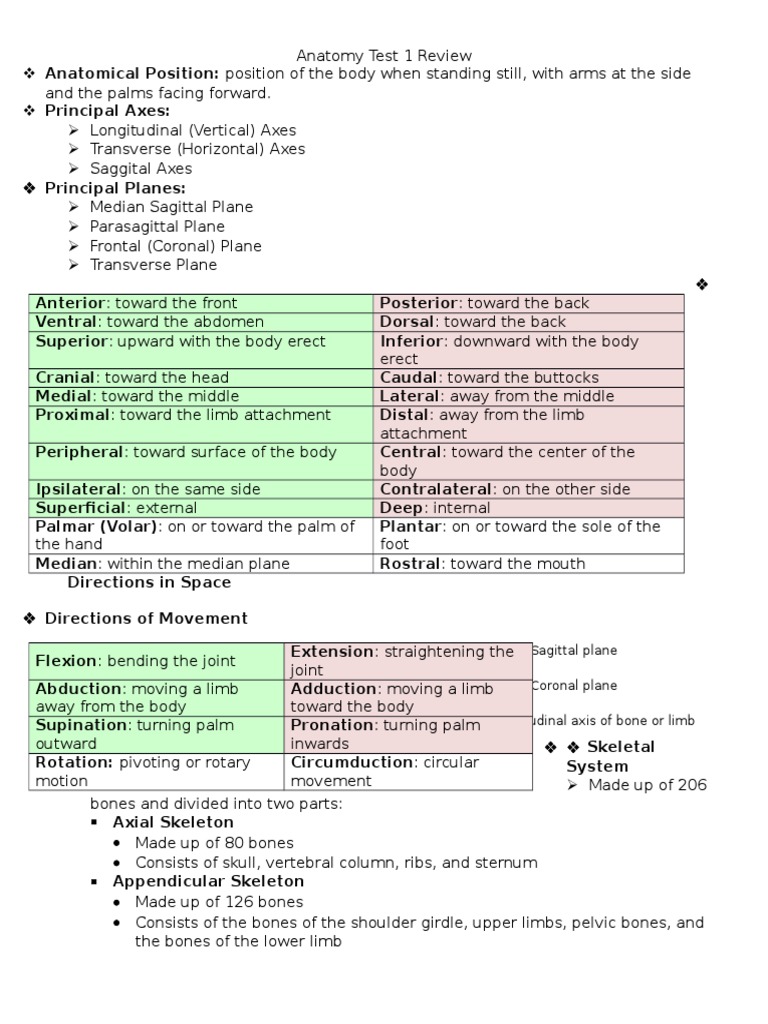 Anatomy Test 1 Review | PDF | Bone | Anatomical Terms Of Location