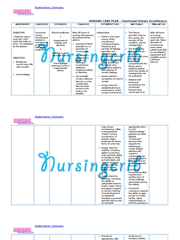 Nursing Care Plan For Functional Urinary Incontinence NCP | PDF ...
