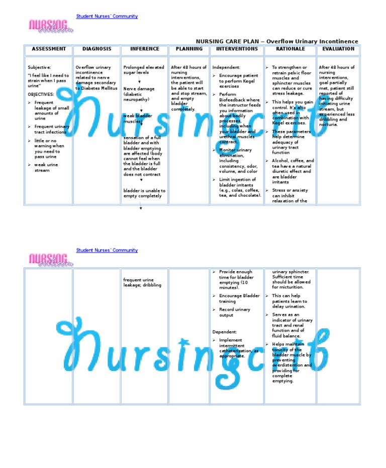 Nursing Care Plan For Overflow Urinary Incontinence NCP | PDF | Urinary ...