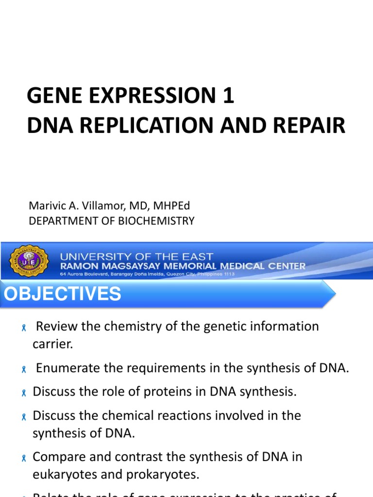 GE 1 DNA Synthesis 2011-12 HO | PDF | Dna Replication | Directionality ...