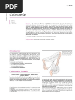 Técnicas de Anastomosis Intestinales | PDF | Cirugía | Digestión
