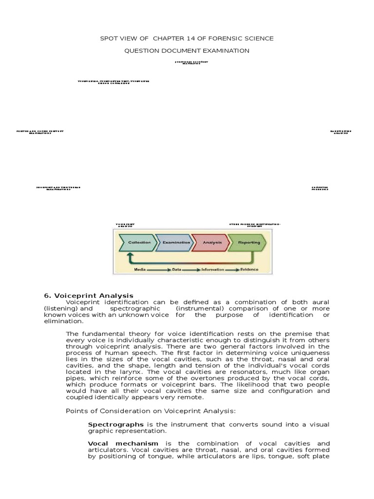 Points of Consideration On Voiceprint Analysis | PDF | Human Voice ...