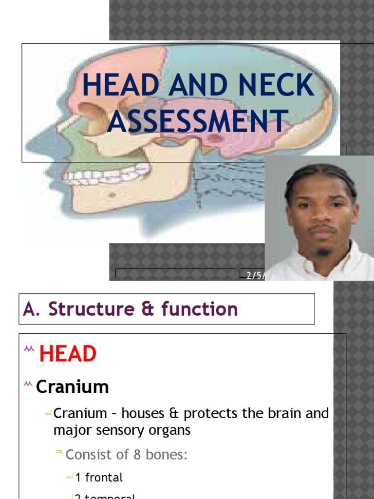 Head And Neck Assessment Pdf Neck Human Head And Neck