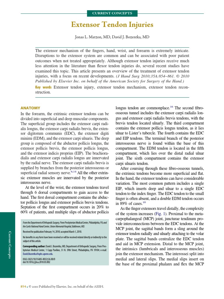 Extensor Tendon Injuries 2010 The Journal of Hand Surgery | PDF | Arm ...