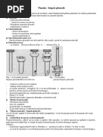 Lista Coduri Investigatii Imagistica | PDF