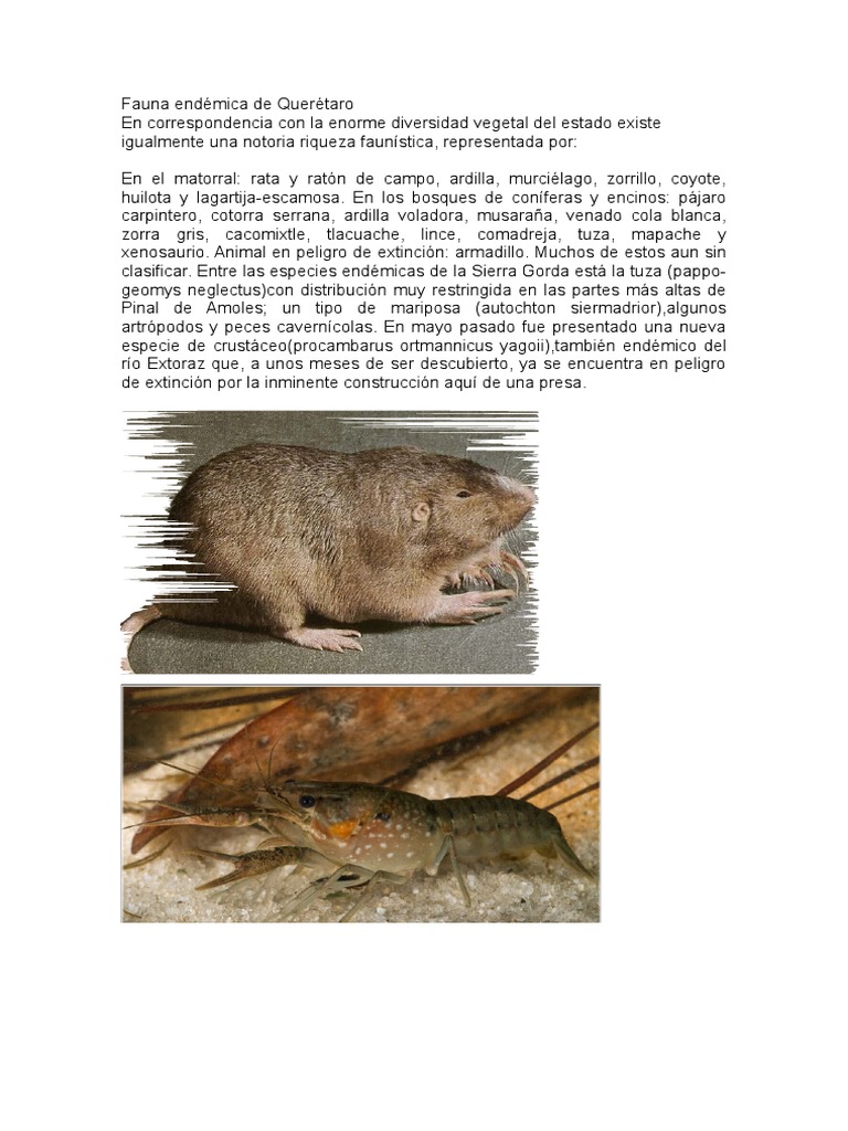 Fauna Endémica de Querétaro | PDF