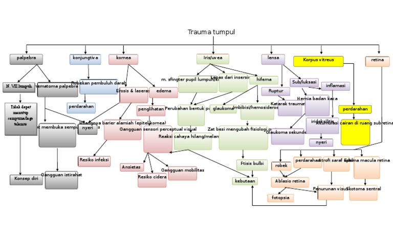 Pathway Trauma Tumpul Mata | PDF