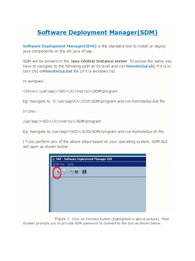 Sap - Sdm Tool | Operating System | Computing Platforms