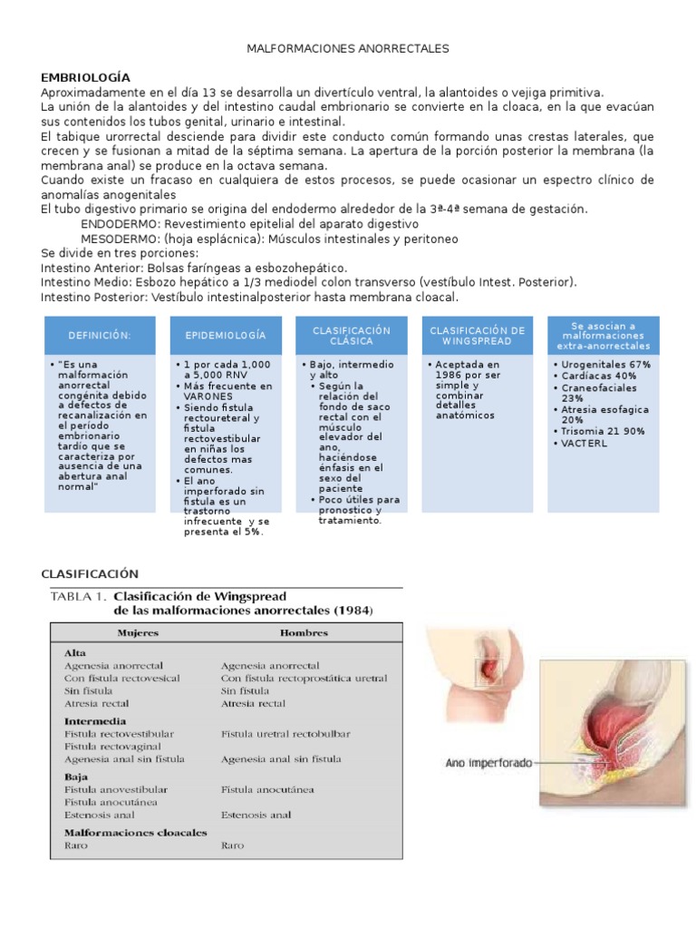 MALFORMACIONES ANORRECTALES