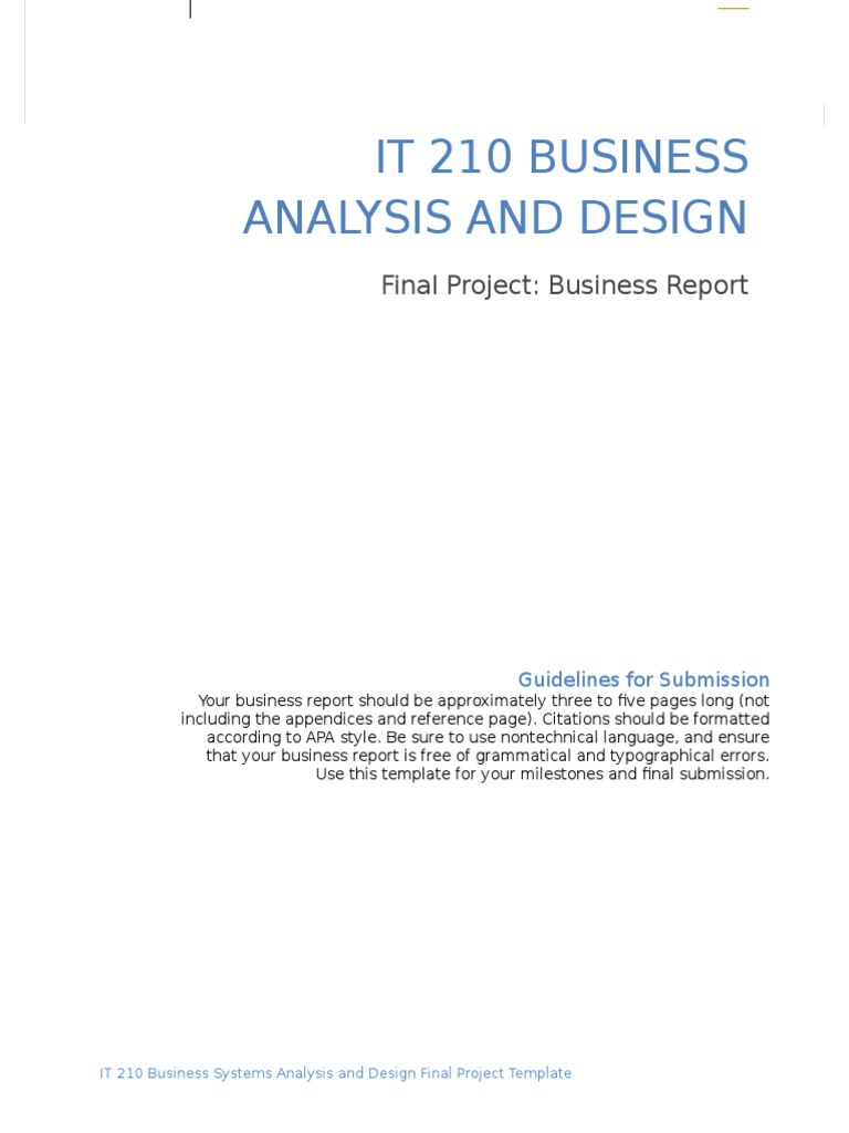 IT 210 Business Systems Project Template | PDF | Computer Security ...