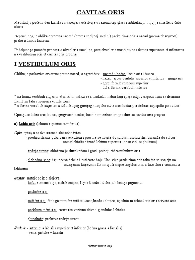 Cavitas Oris | PDF