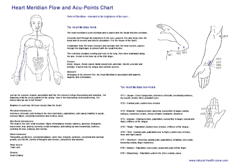 Heart Meridian Chart | PDF | Heart | Organ (Anatomy)