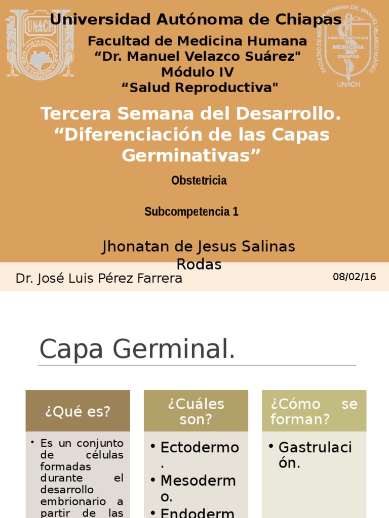 Tercera Semana Del Desarrollo. Diferenciacion de Las Capas Germinativas ...
