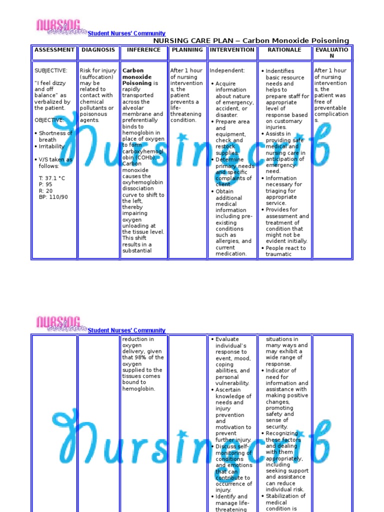 Nursing Care Plan For Carbon Monoxide Poisoning | PDF | Medical ...