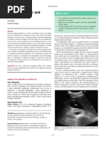HBT Ultrasound Meaning - Google Search | PDF | Gallbladder | Liver