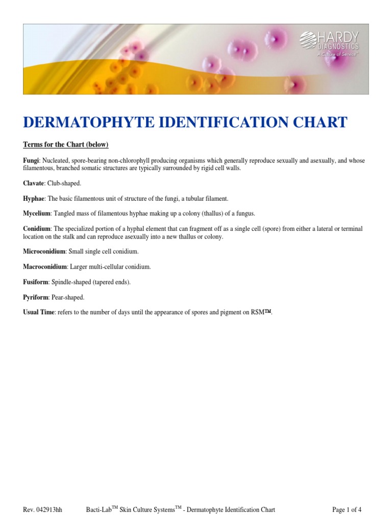 Dermatophyte Identification Chart | Fungus | Mycology