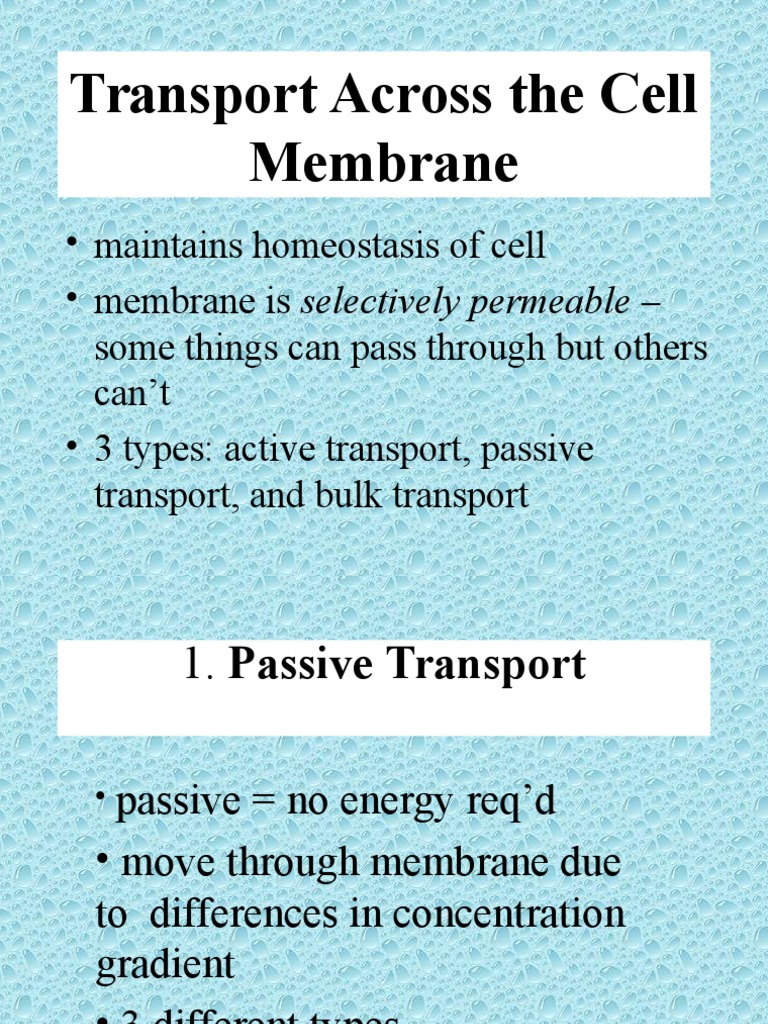 Types of Transport | PDF | Cell Membrane | Osmosis