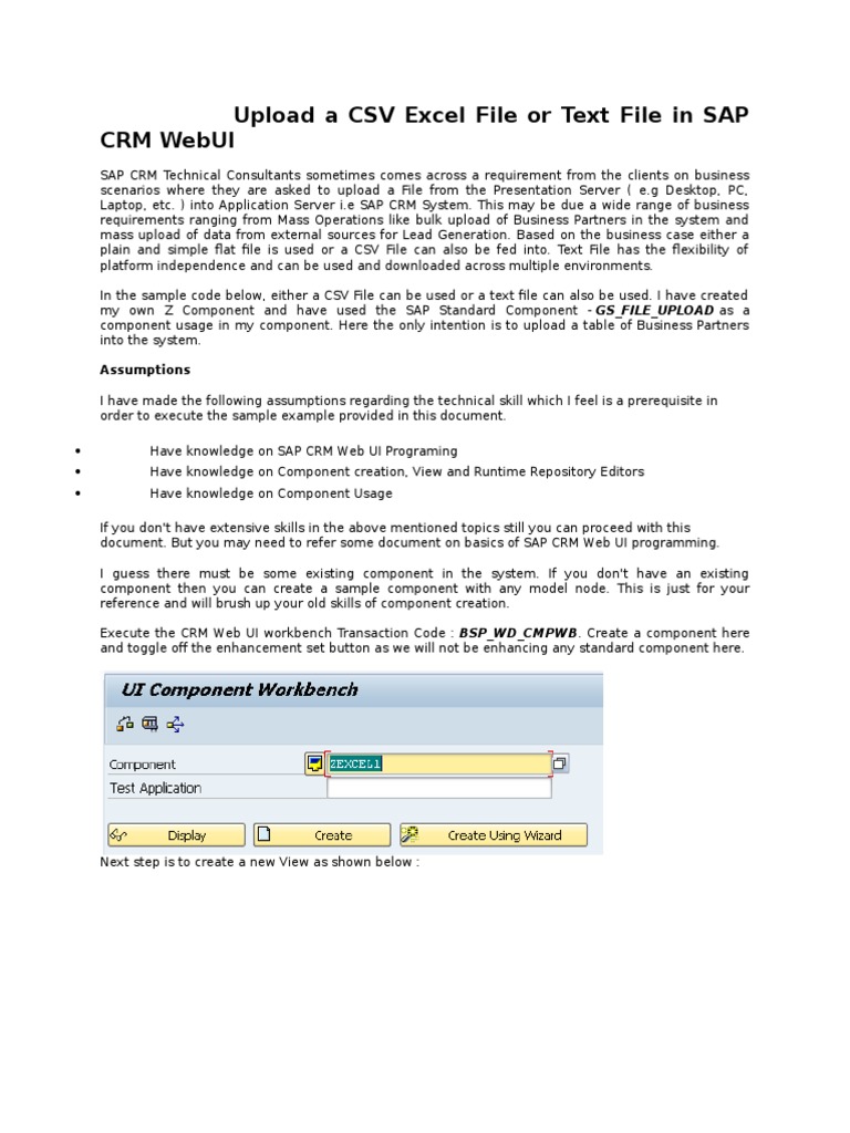 Upload A Csv Excel File Or Text File In Sap Crm Webui Pdf Comma 9772