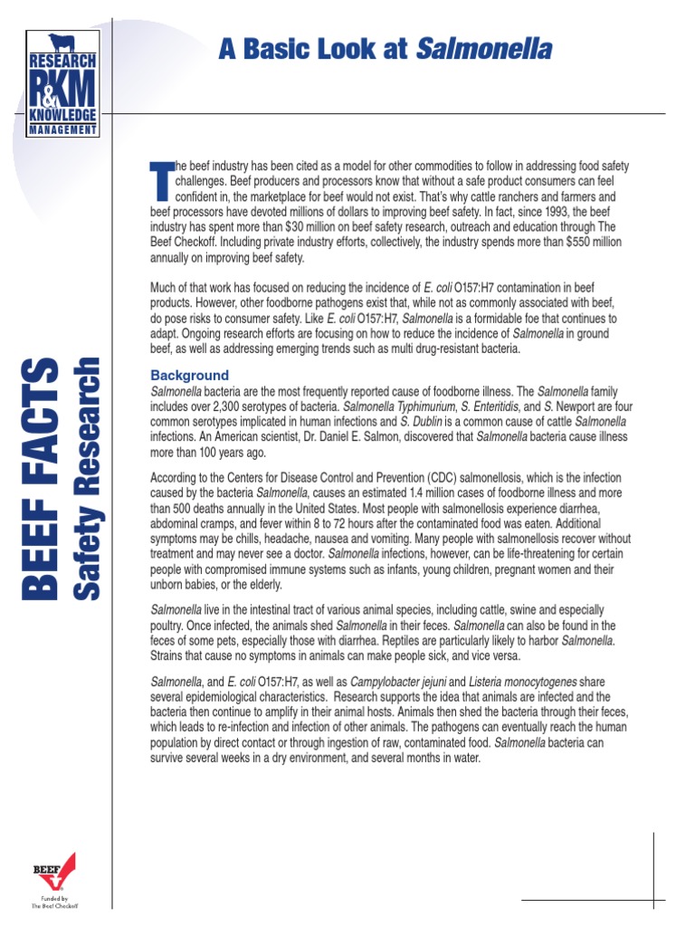 A Basic Look at Salmonella: Research | PDF | Salmonella | Foodborne Illness