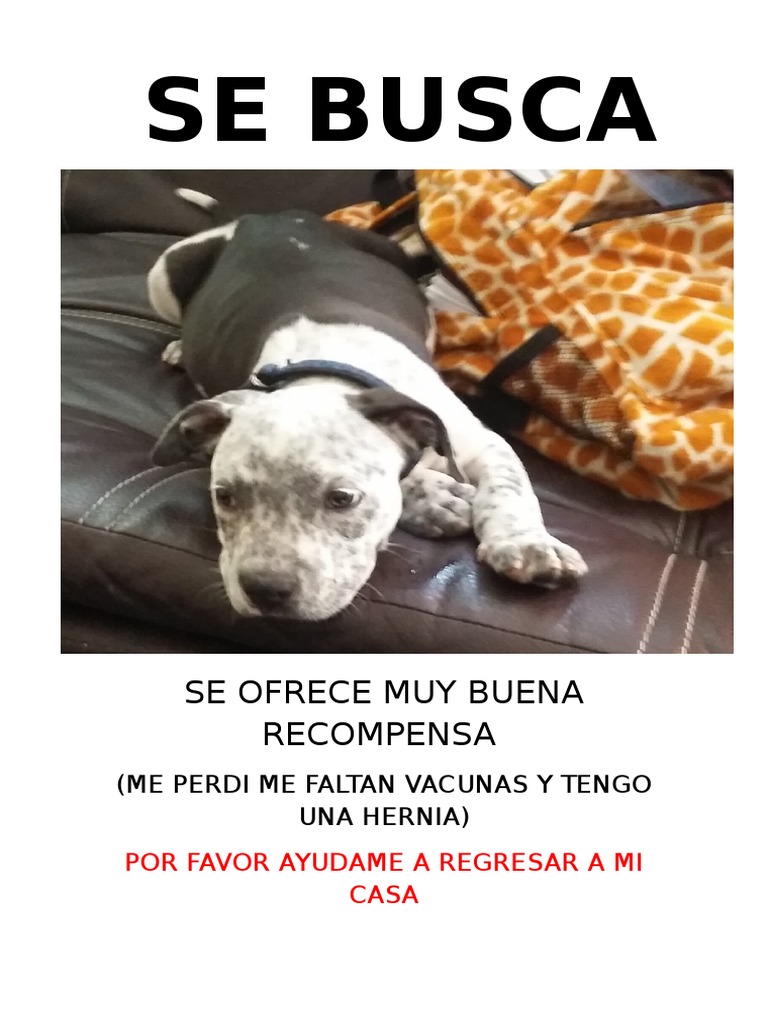 Formato de Se Busca | PDF