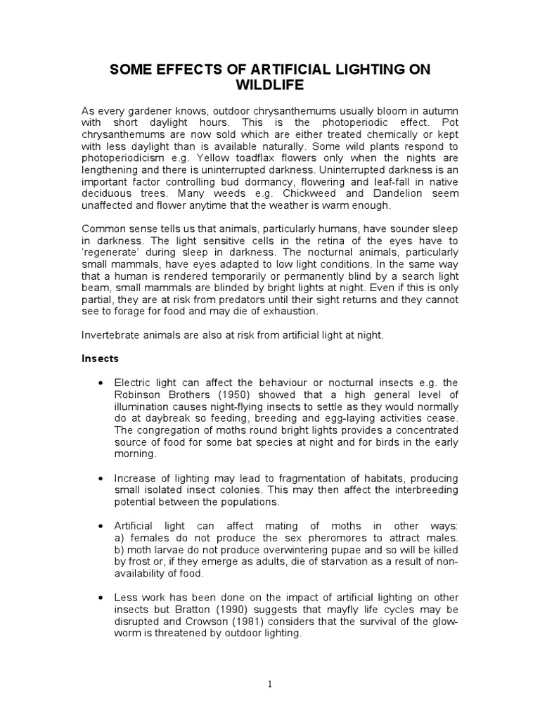 Some Effects of Artificial Lighting On Wildlife | PDF | Bat | Lighting