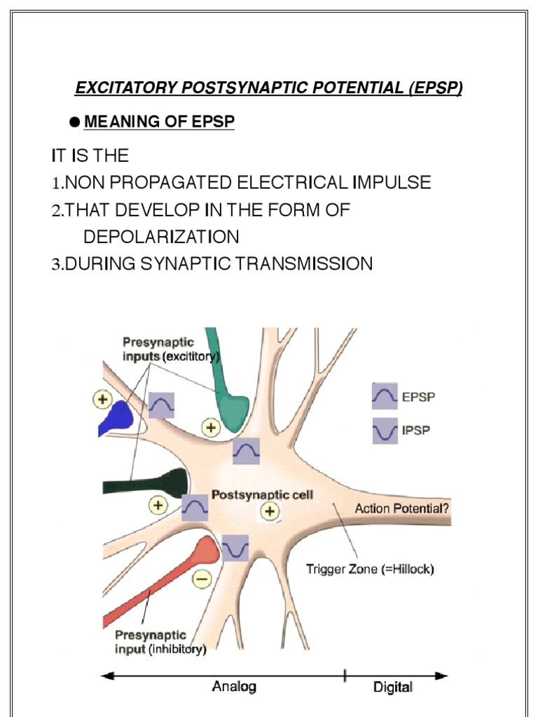epsp-and-ipsp