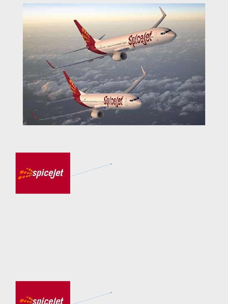 Spicejet | PDF | Transport Companies | Aviation