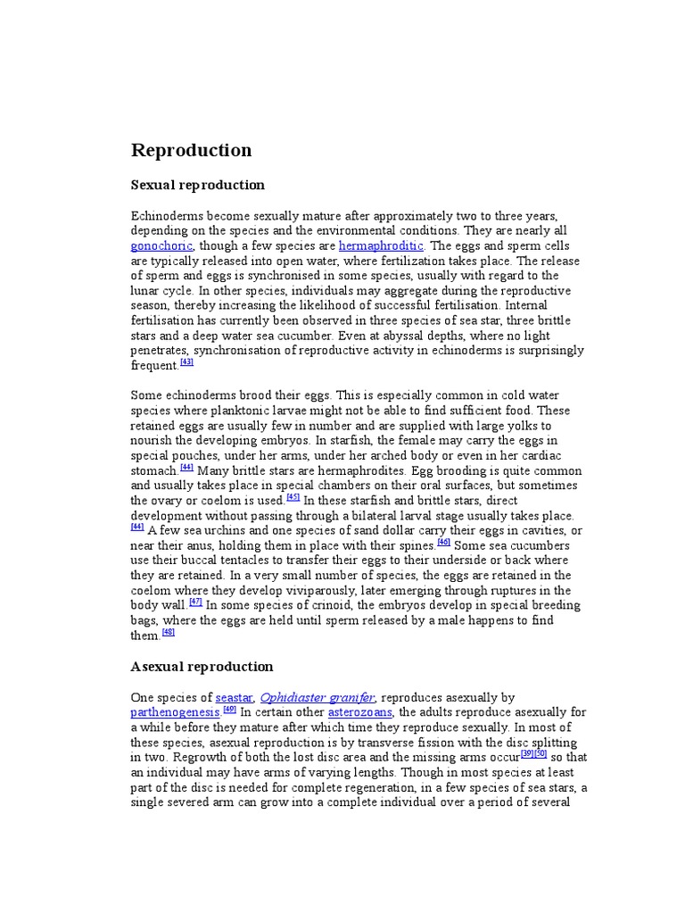 Echinoderm Reproduction Explained | PDF | Biology | Zoology