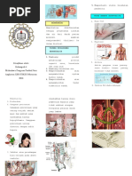 Leaflet Akses Vaskuler | PDF