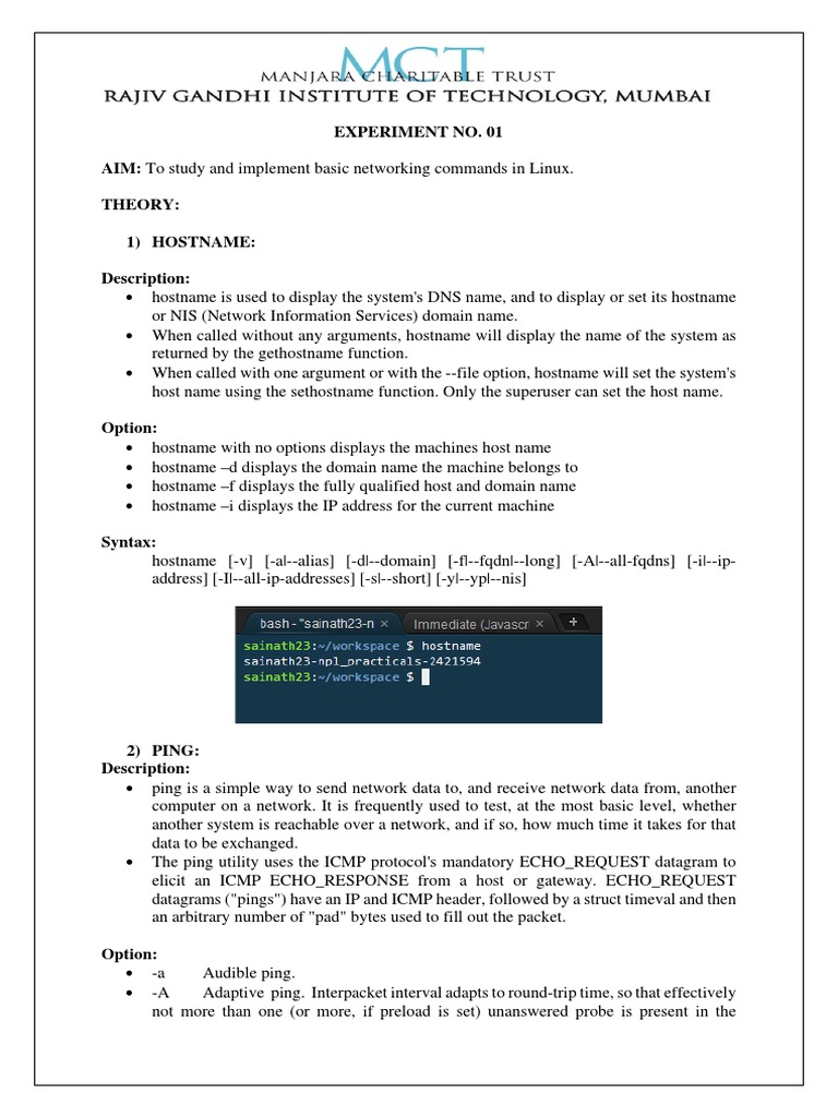 Basic Linux Networking Commands | PDF | Domain Name System | Command ...