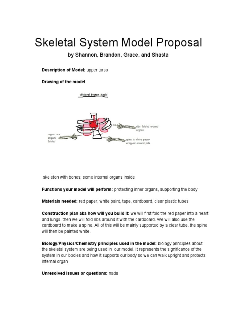 Skeletal System Model Proposal: by Shannon, Brandon, Grace, and Shasta ...