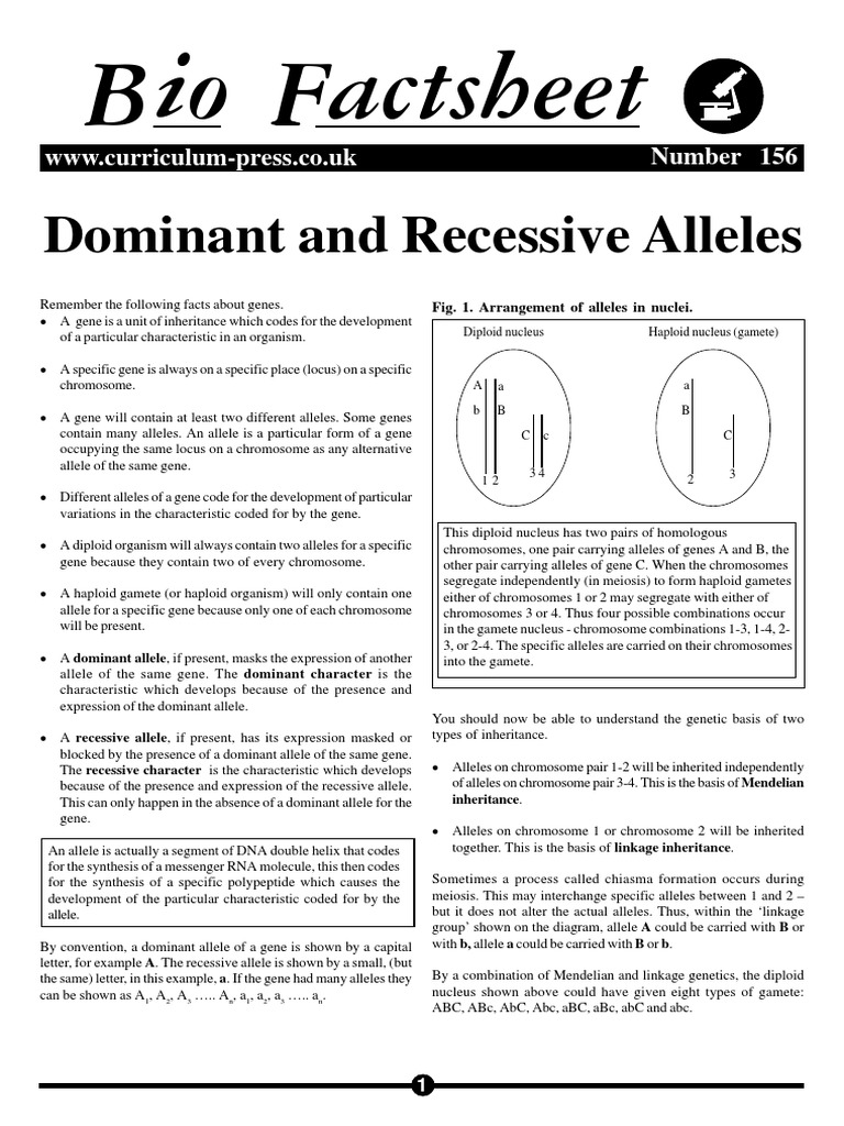 Dominant and Recessive Alleles | PDF | Dominance (Genetics) | Allele