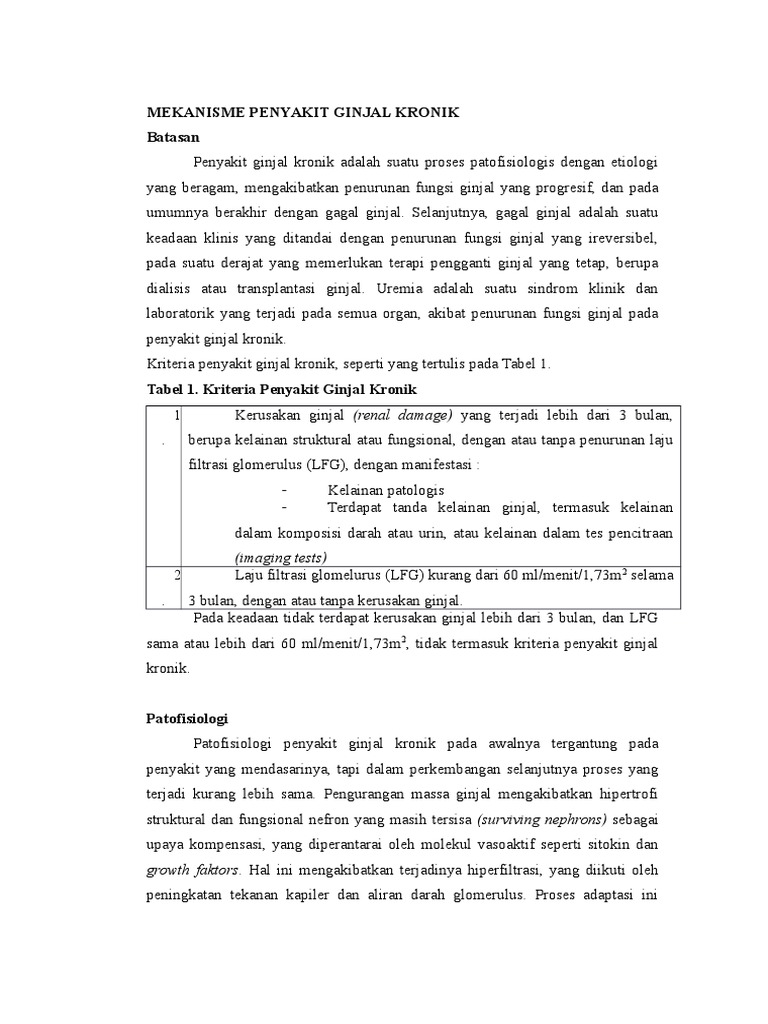 Mekanisme Penyakit Ginjal Kronik | PDF