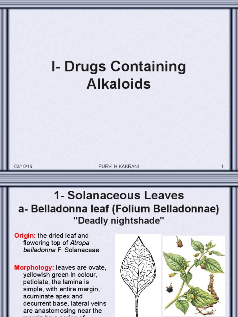 Alkaloidal Crude Drugs | PDF | Plants | Nature