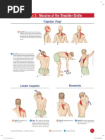 Schroth Method: Scoliosis Exercises Guide | PDF